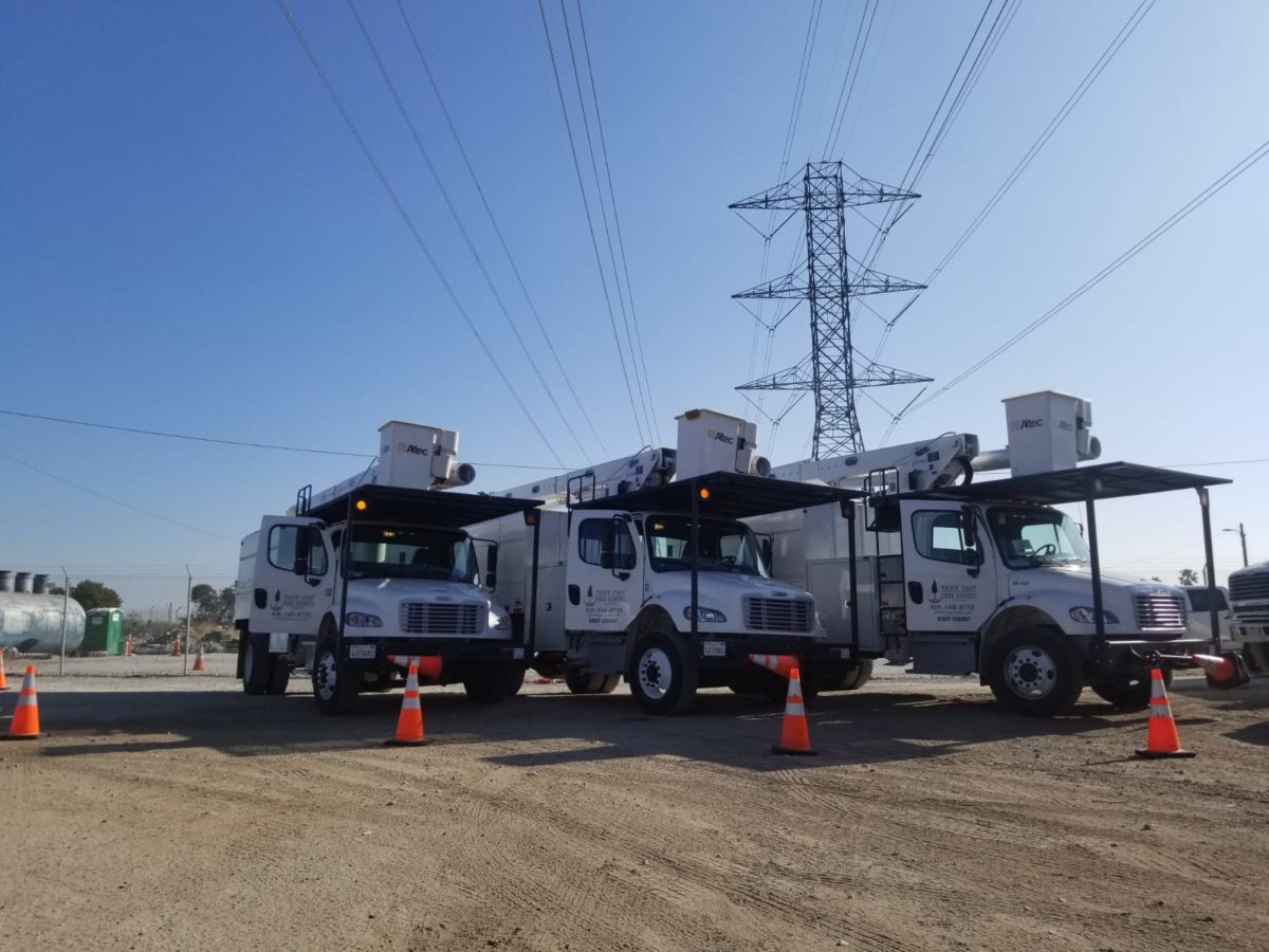 See our new equipment! – Pacific Coast Tree Experts
